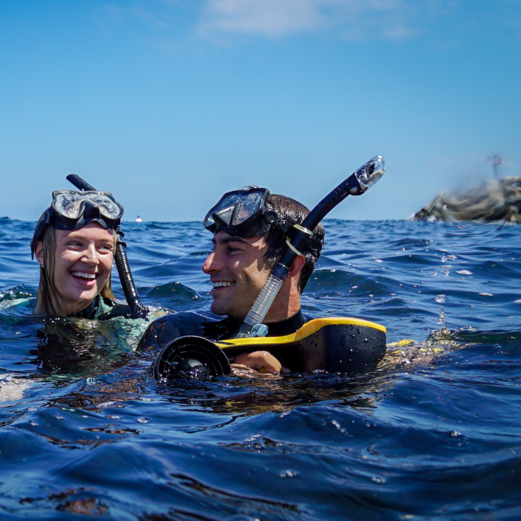 Seascooter Acqua Scooter Elettrico Robosea SeaFlyer Next Generation DPV Diver Propulsion Vehicle ...